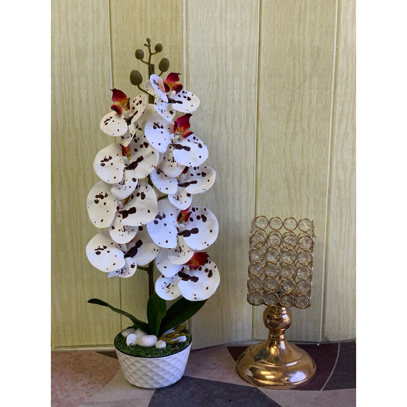 handmade Gubahan Bunga Orkid /bunga hiasan / Orchid 3D siap Pasu budget ...