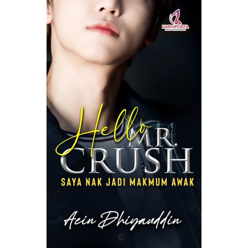 Novel Hello Mr Crush by Aein Dhiyauddin | Shopee Malaysia