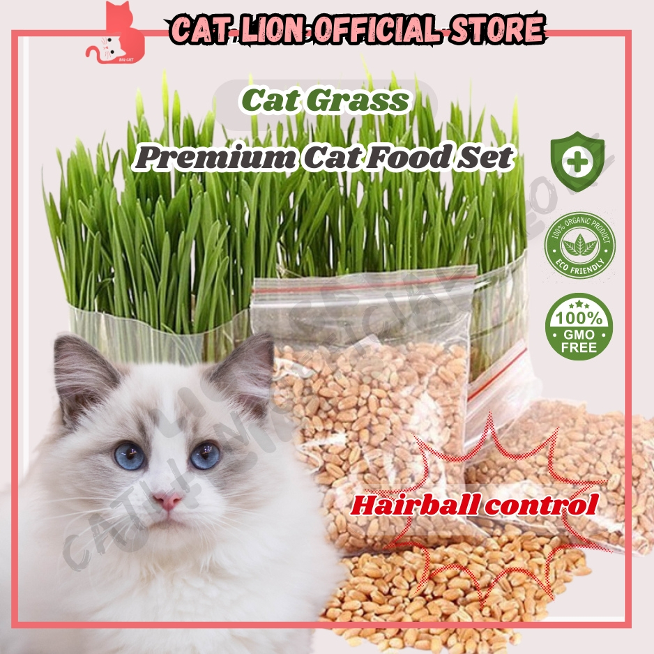 Cat Grass Seed Set Healthy Cat Food Hairball Solution Biji Benih Rumput Kucing | Shopee Malaysia