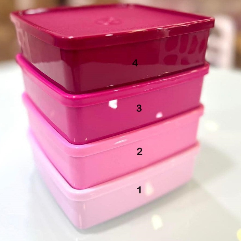 tupperware square away (1 pc) | Shopee Malaysia