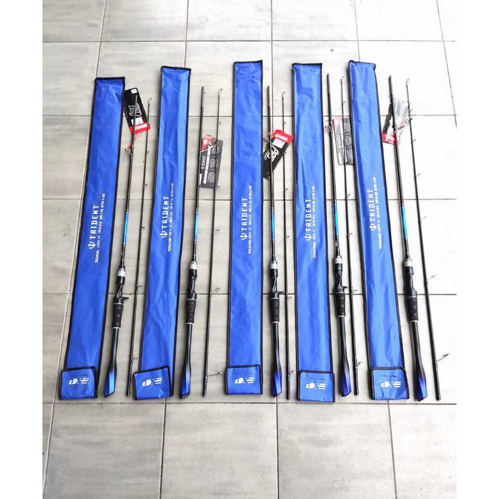 EXP TRIDENT CARBON FIBER SPINNING/BAITCASTING(BC) FISHING ROD | Shopee ...