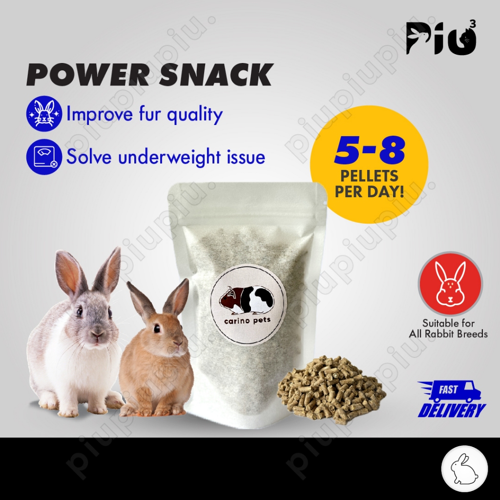 [24HR SHIP] CARINO PETS POWER SNACK 100G Rabbits Skin & Coat Supplement ...