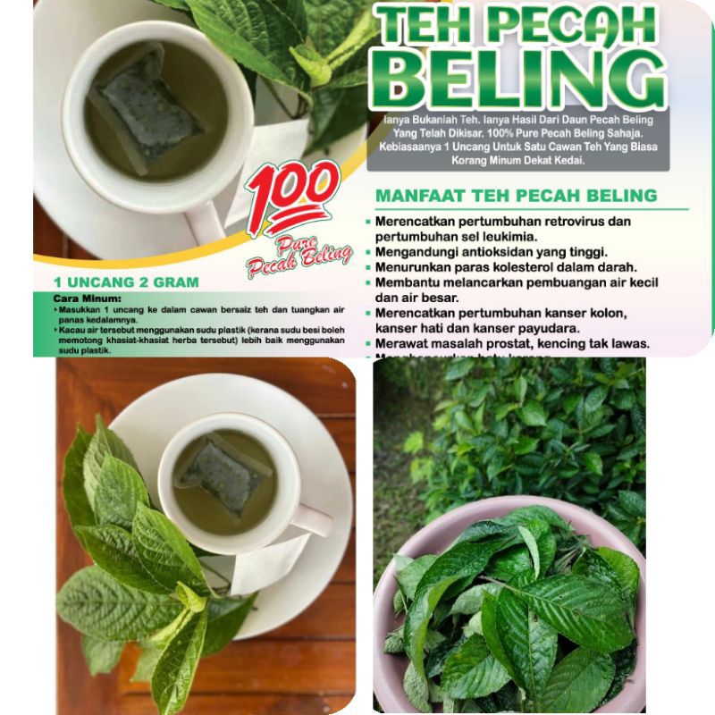 TEH DAUN PECAH BELING (Direct Kilang) | Shopee Malaysia