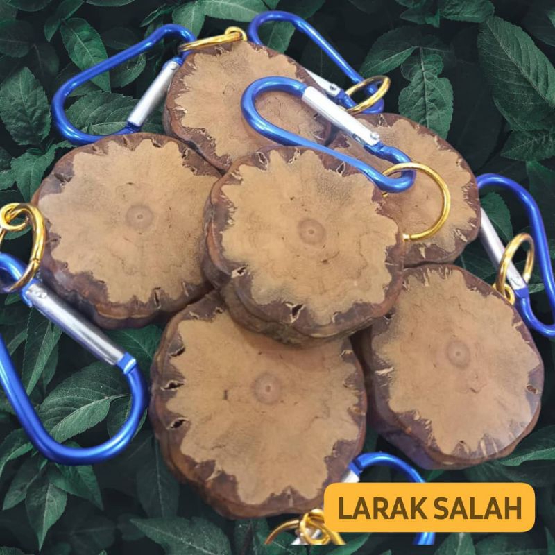 LARAK SALAH, Corak Bintang + Carabiner Snap Lock | Shopee Malaysia