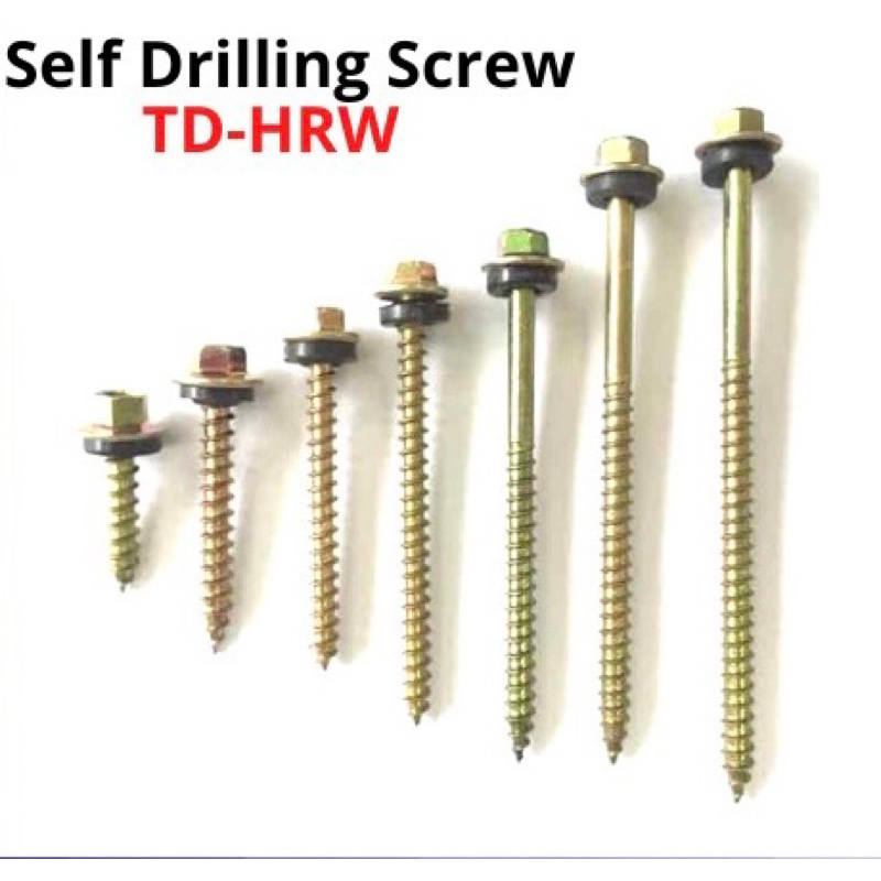 (10Pcs) Hex Self Drilling Screw Skru Atap Skru Bumbung WITH WASHER ...