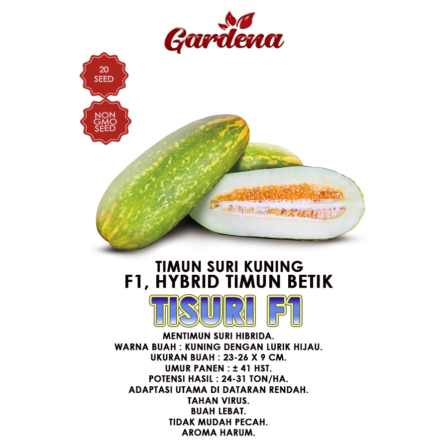 30 BIJI BENIH TIMUN BETIK TIMUN SURI SERAWA BETIK TIMUN SUSU JALUR ...