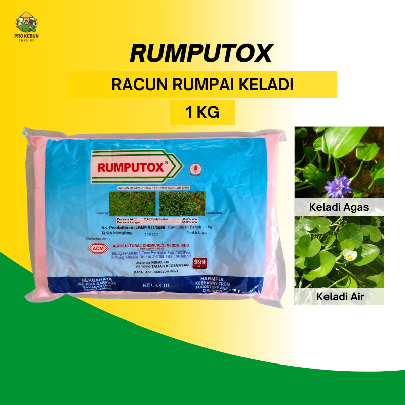 Rumputox Racun Rumpai Padi Racun Keladi Padi Racun Keladi Agas Keladi ...