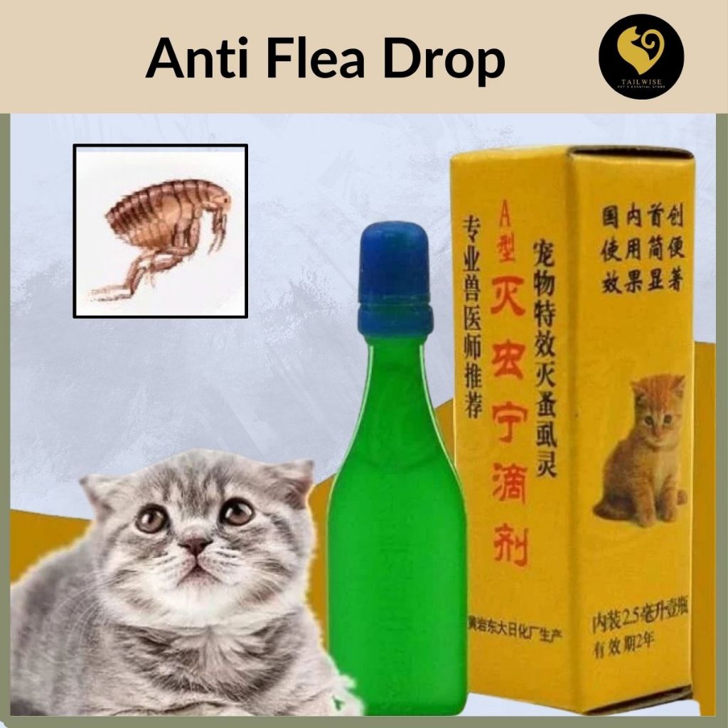 Anti Kutu Kucing/Anti Flea Cat/Ubat Kutu Kucing Paling Berkesan/Ubat ...