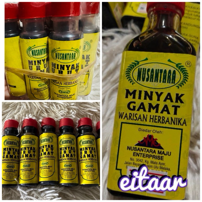 Minyak Urut Gamat Warisan Herbanika 💯 original Nusantara Langkawi ...