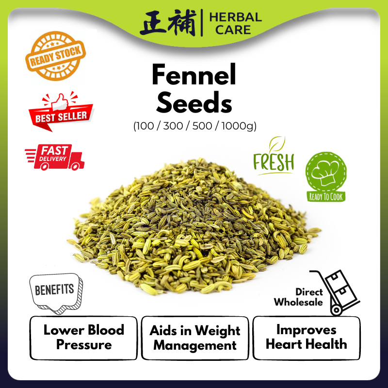 Fennel Seeds 小茴香 Biji Jintan Manis Spices Rempah Ratus 茴香 小茴 茴香籽 Anise ...