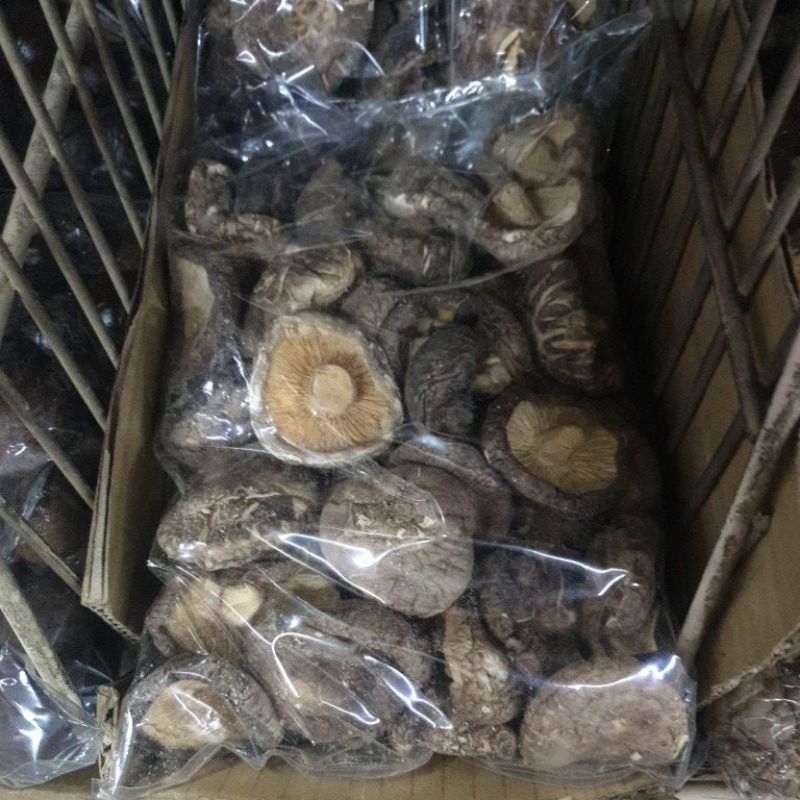 Cendawan Bunga /Mushroom 200G | Shopee Malaysia