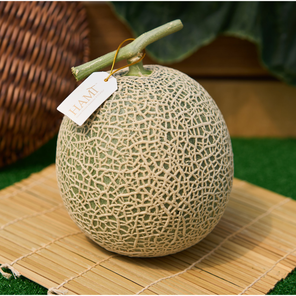 HAMI Japanese Muskmelon (Hikari, Mizuki, Fujisawa) | Shopee Malaysia