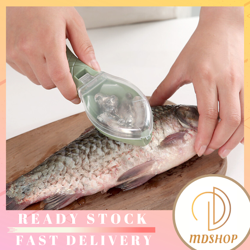 Fish Scaler with Lid Fish Scale Planer Scraper Fish Scaling Brush Fish ...