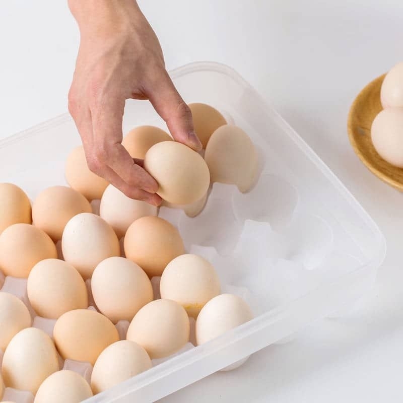 Bekas simpan telur plastic container | Shopee Malaysia