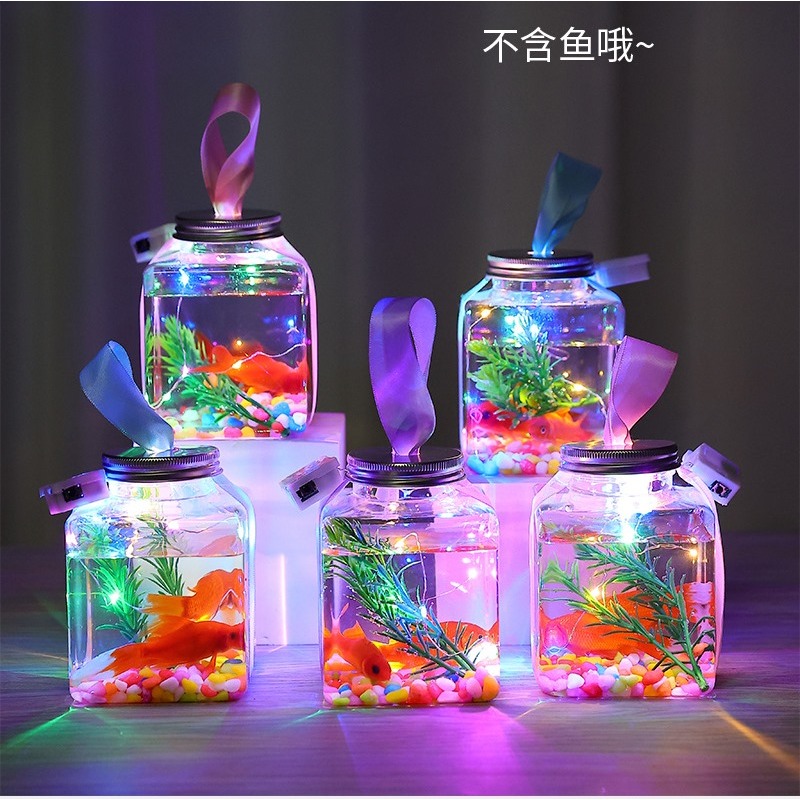 Mini Aquarium lantern Fish Light Tank moonlight Fish Aquarium Fish ...