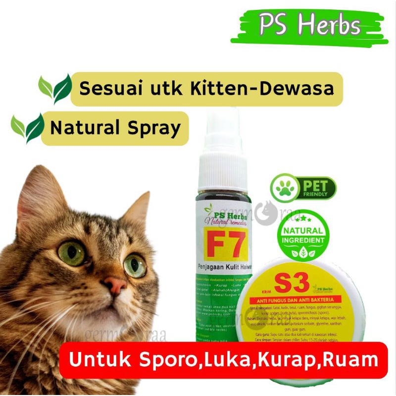 PS Herbs Natural Spray F7 Cream S3 Kucing Sporo Luka Bisul Nanah Kurap ...