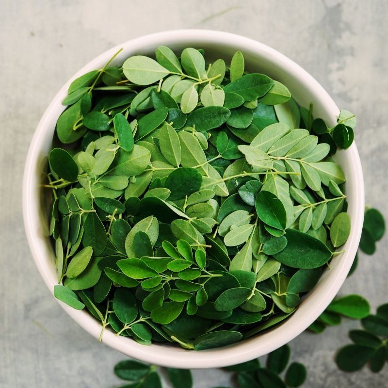 Fresh Moringa Leaf / Moringa Powder / Moringa Tea | Daun Kelor Segar ...