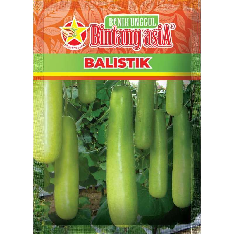 BINTANG ASIA - BENIH LABU AIR BUAH PANJANG 90CM JENIS BALISTIK PACK 10 ...