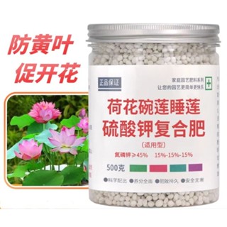 🪷500g/30g🪷Baja Lotus WaterLily Mini Little Bowl Lotus 荷花碗莲睡莲硫酸钾复合肥料 ...