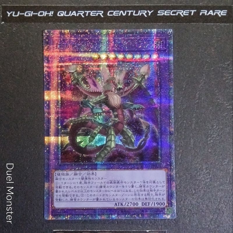 Predaplant Dragostapelia RC04-JP028 (QCSR) | Shopee Malaysia