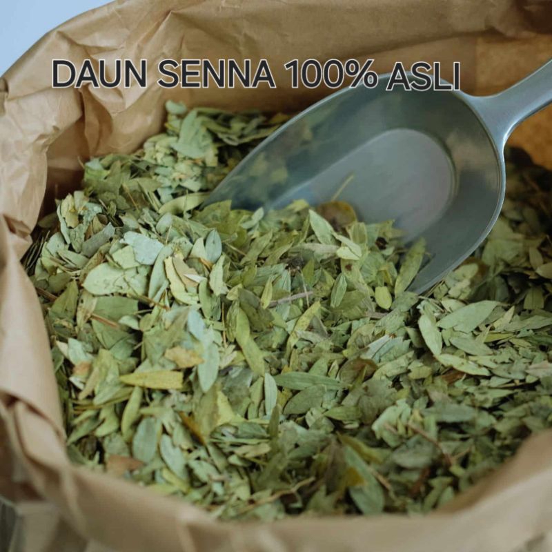 DAUN SENNA ASLI/SENNA LEAF ORGINAL/TEH DAUN SENNA | Shopee Malaysia