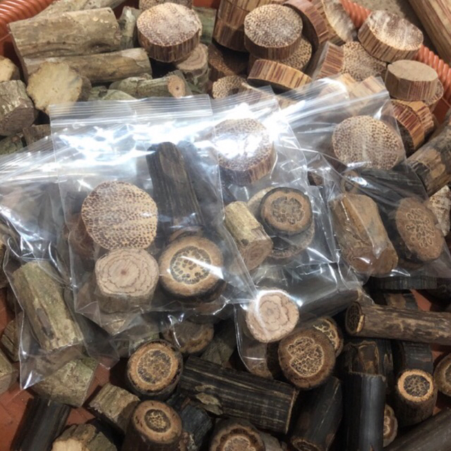 3 SERANGKAI Ketulan (sulur bertam, ibor, larak salah) | Shopee Malaysia