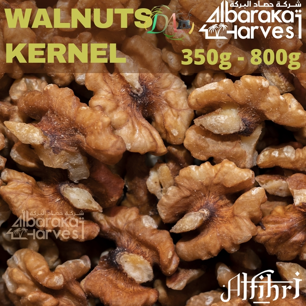 Alfihri raw Walnuts jumbo size from turkey 900g | Shopee Malaysia