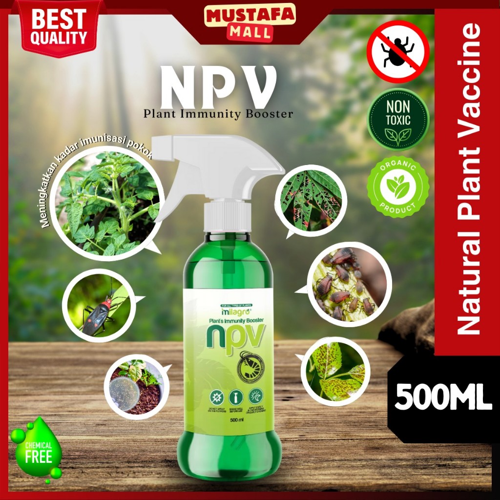 Milagro Natural Plant Vaccine meningkatkan ketahanan pokok daripada ...