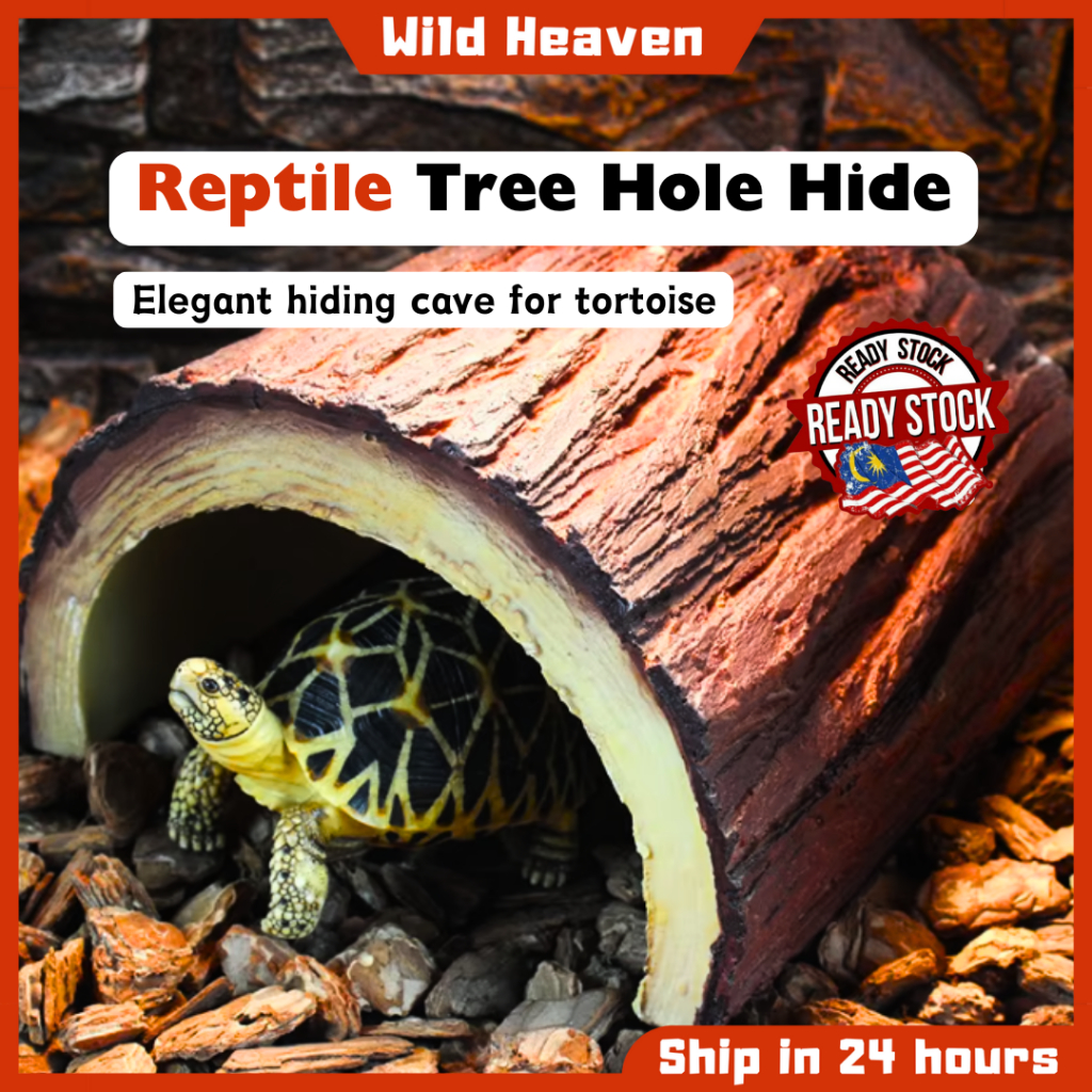 Tortoise Tree Hole Hide House Lizard Bearded Dragon Basking Area ...