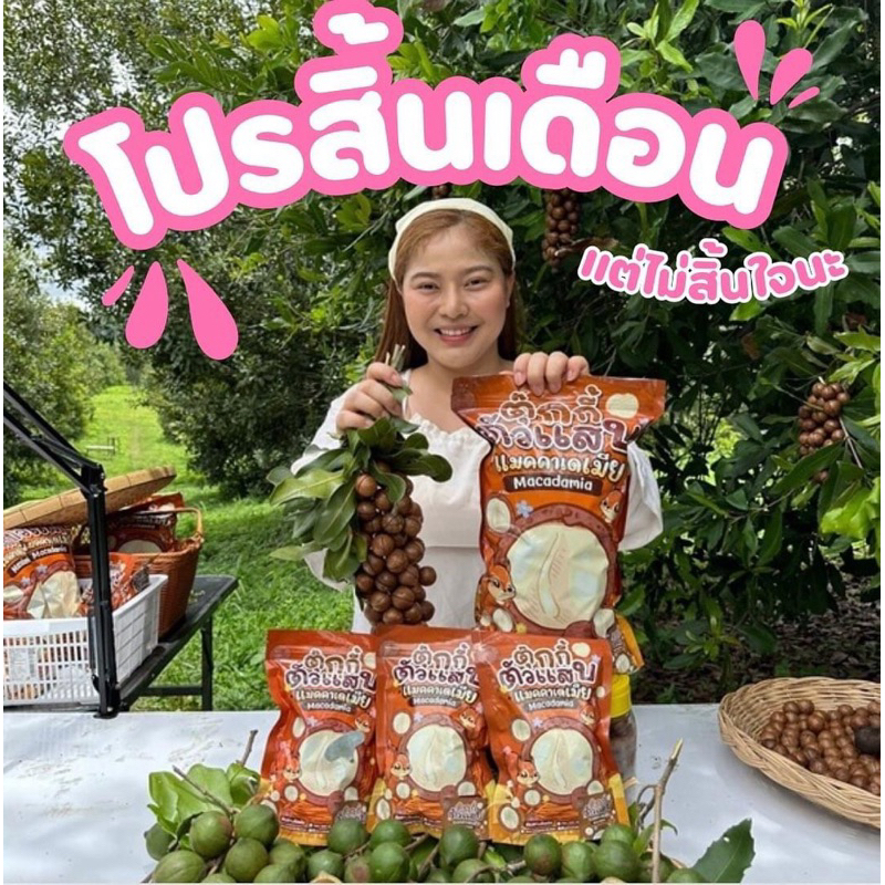 Macadamia - Premium Grade / Large ( Delicious 😋 ) THAILAND 🇹🇭 | Shopee ...