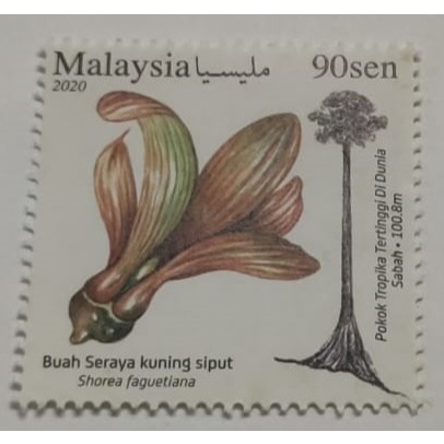Malaysia 2020 Pokok Tropika Tertinggi Di Dunia World Tallest Tree Stamp ...