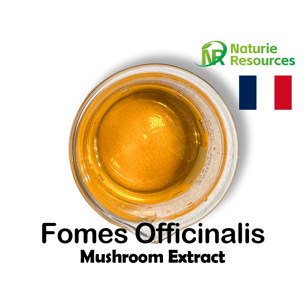 Pore Reductyl 30ml - Fomes officinalis Extract/Mushroom Extract - Pore ...