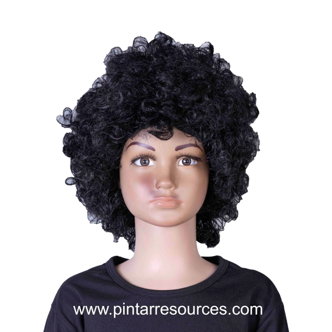 READY STOCK Cosplay Clown Wig 60S& 70S Hair Styles Wig Vintage ...