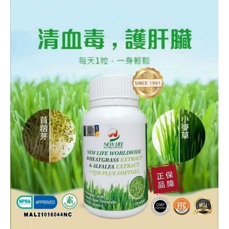 New Life Worldwide 浓缩小麦草与苜蓿芽+Q10 | Shopee Malaysia