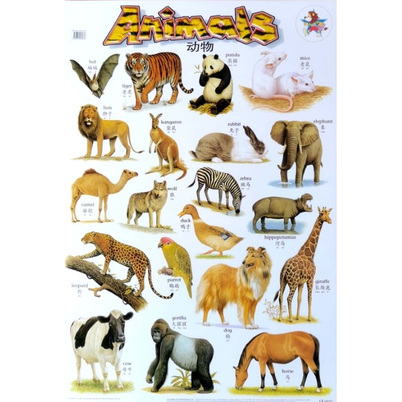 *Animals*Educational Poster For Kindergarten (Ready Stock) | Shopee ...