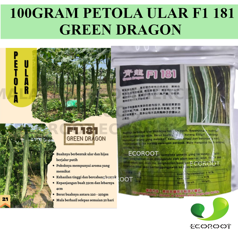 BIJI BENIH 100GRAM F1 HYBRID GREEN DRAGON 181 PETOLA LABU ULAR SNAKE ...