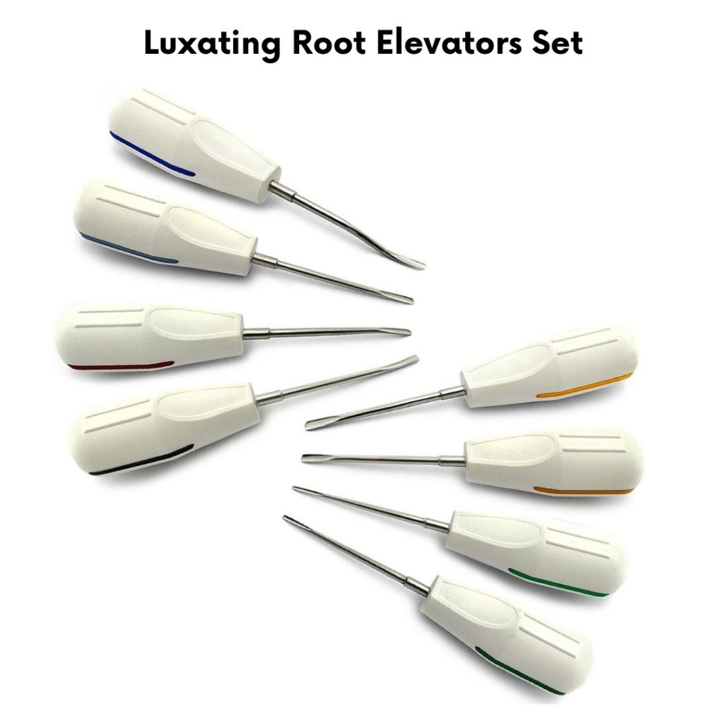 8Pcs Dental Luxation Extraction Instruments Root Elevator Dentist Dental Equipments Luxator ...