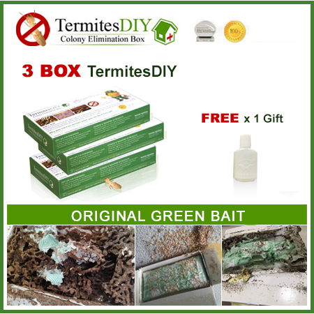 Termite Original Termites DIY Termite Baiting system (3box) - Umpan ...
