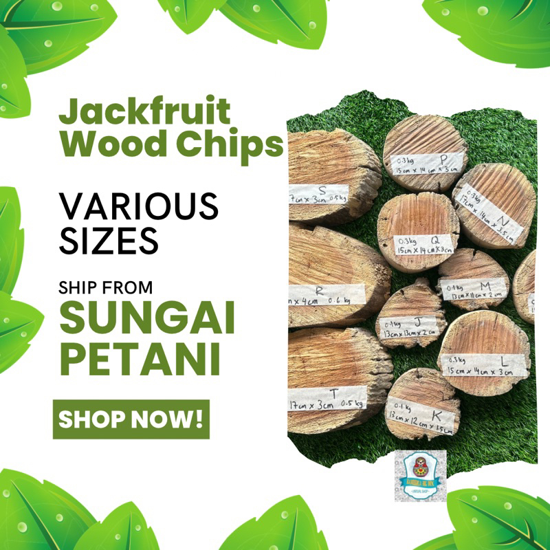 Jackfruit Wood Chips (1 piece) Kepingan Kayu Nangka Craft Wood Work ...