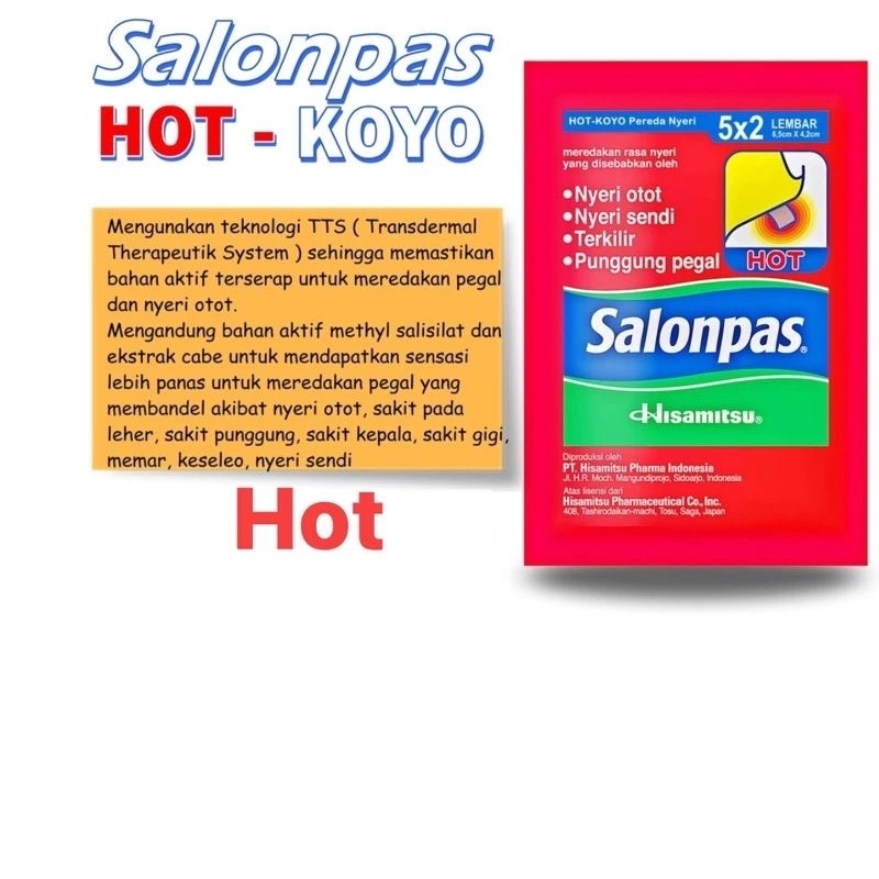 SALONPAS PATCH ( 12 sheets ) | Shopee Malaysia