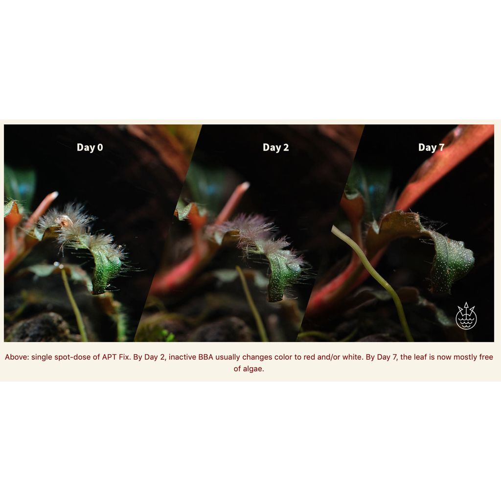 [Official] APT Fix Lite 2Hr Aquarist Aquarium Plant Algaecide Algae Dennis Wong Planted Tank ...