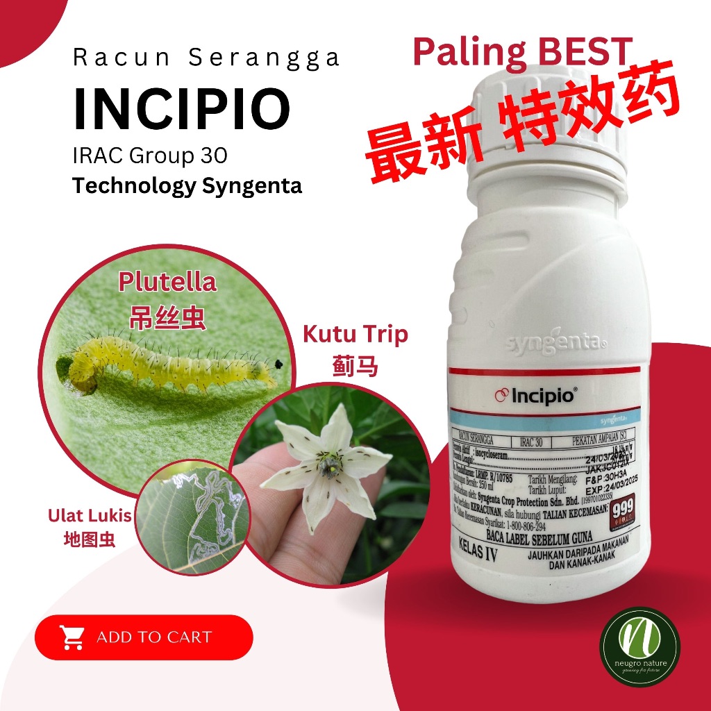 Syngenta INCIPIO 250ml Insecticide - Racun Serangga Kawal Plutella ...