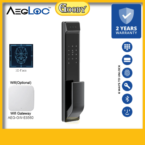 AEGLOC AEG-SDL-T50 Black Smart Digital Push-Pull Slim Door Lock ...