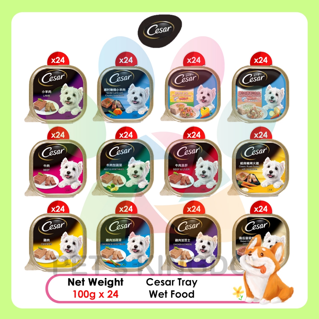 Cesar Dog Tray Wet Food {100g x 24} | Shopee Malaysia