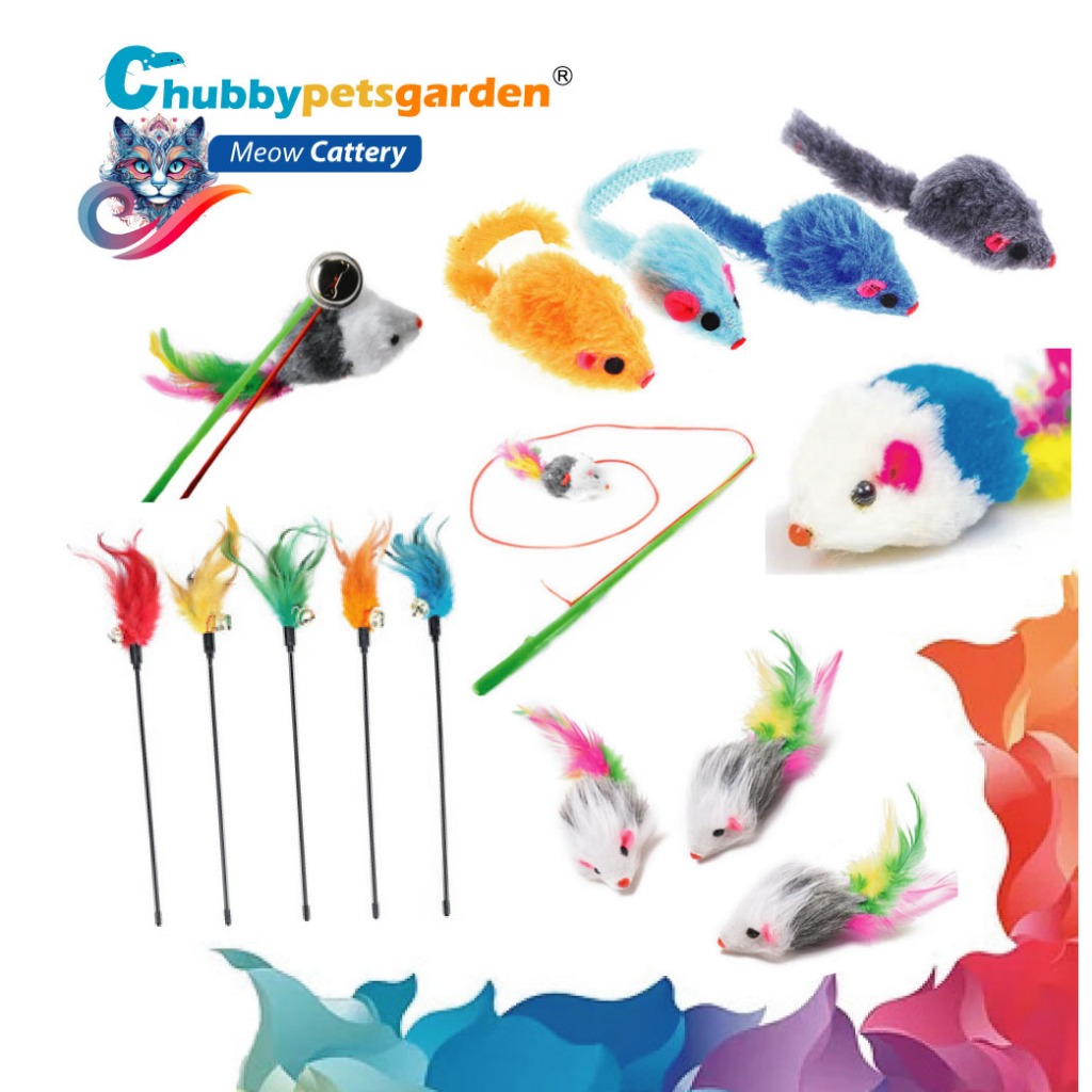 Pet Cat Toy Feather Stick Toy For Cat mouse (Feather colour assorted ...