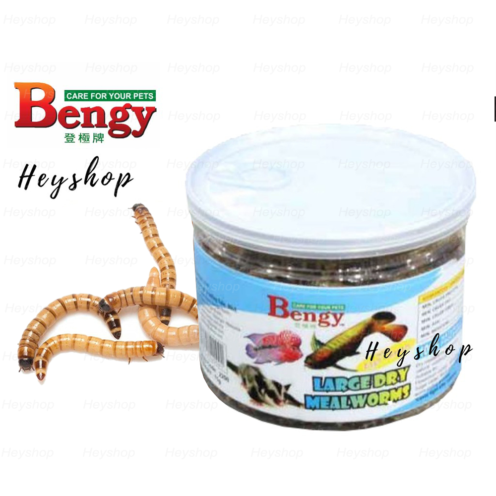 Bengy Superworm 75g Large Dried Mealworm Hamster Hedgehog Sugar Glider ...