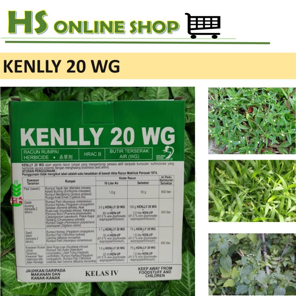 KENLLY 20WG (Sama Dengan Ally) 250gm Kenso Anak Kayu/Anak Pokok ...