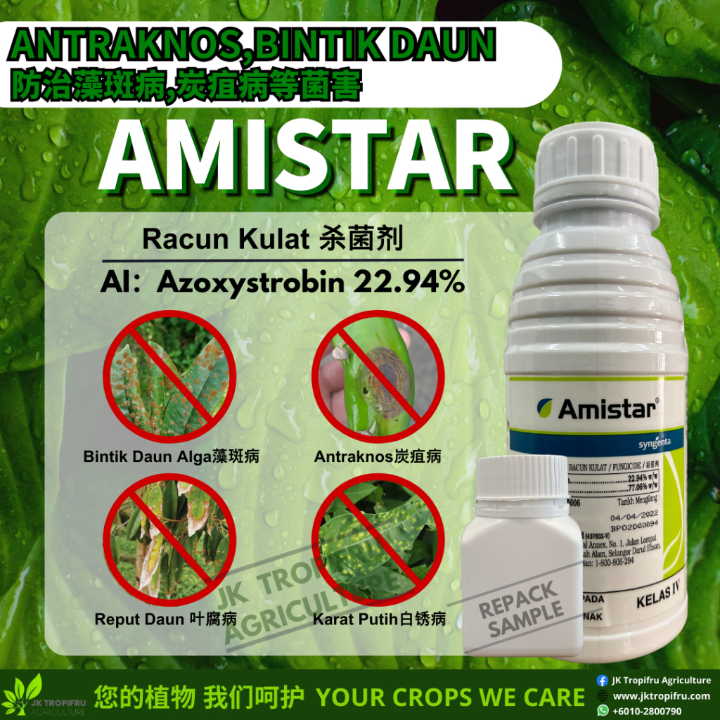 【Bintik Daun Alga/Hawar Daun】Amistar (Repack ) Fungicide/Racun Kulat/菌药 ...