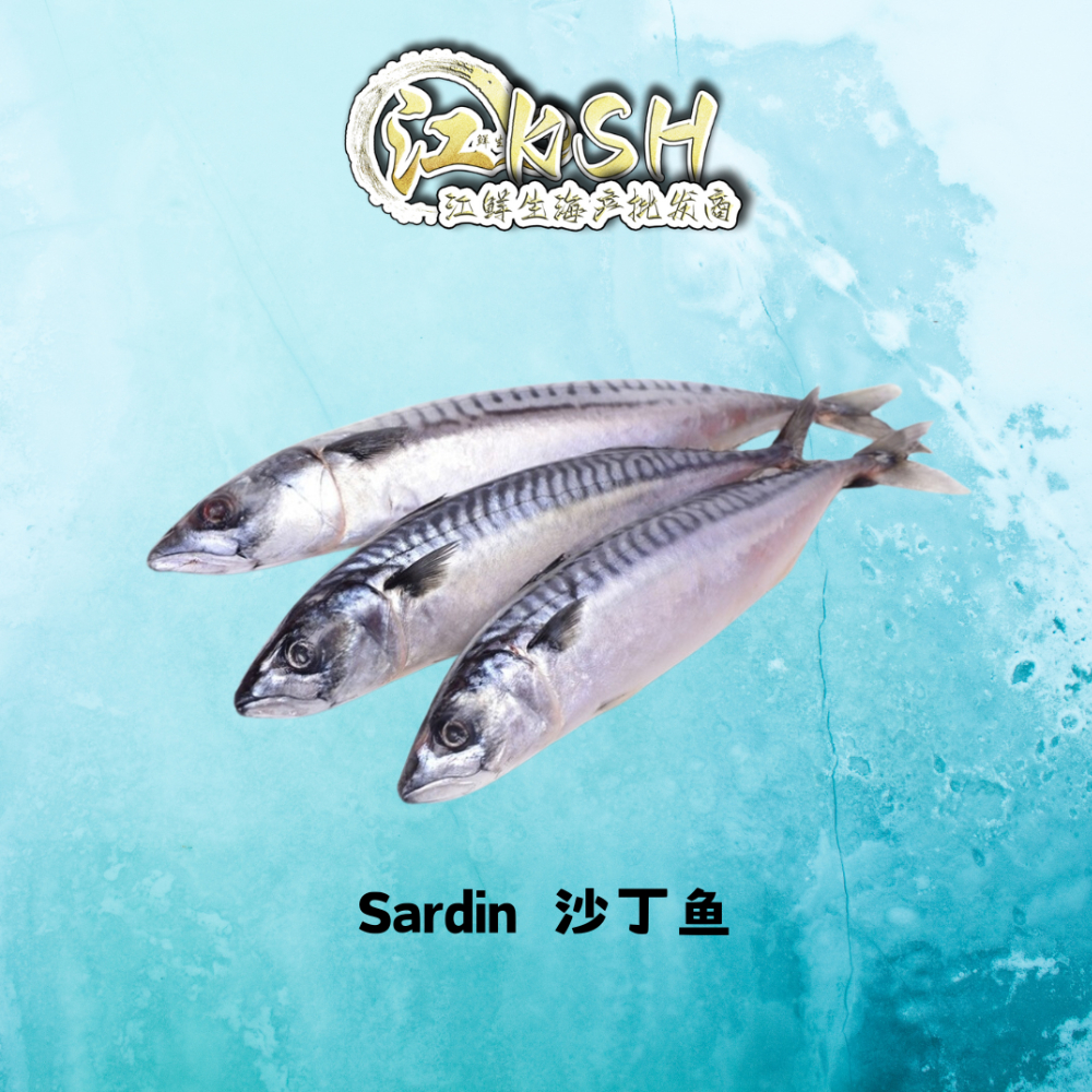 SARDIN | 沙丁鱼 | IKAN SADIN | 1KG | Shopee Malaysia