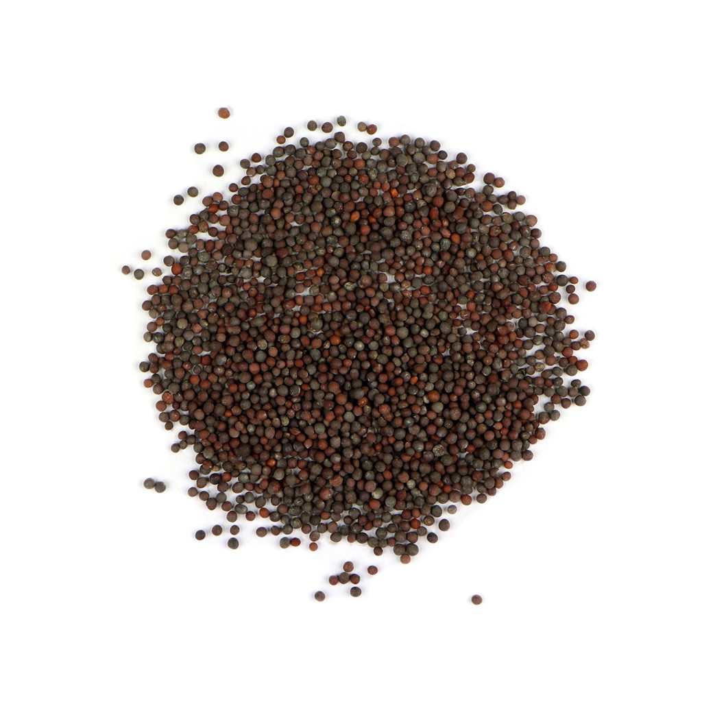Mustard Seeds/Biji Sawi (Black)(100g)(500g)(1kg) | Shopee Malaysia
